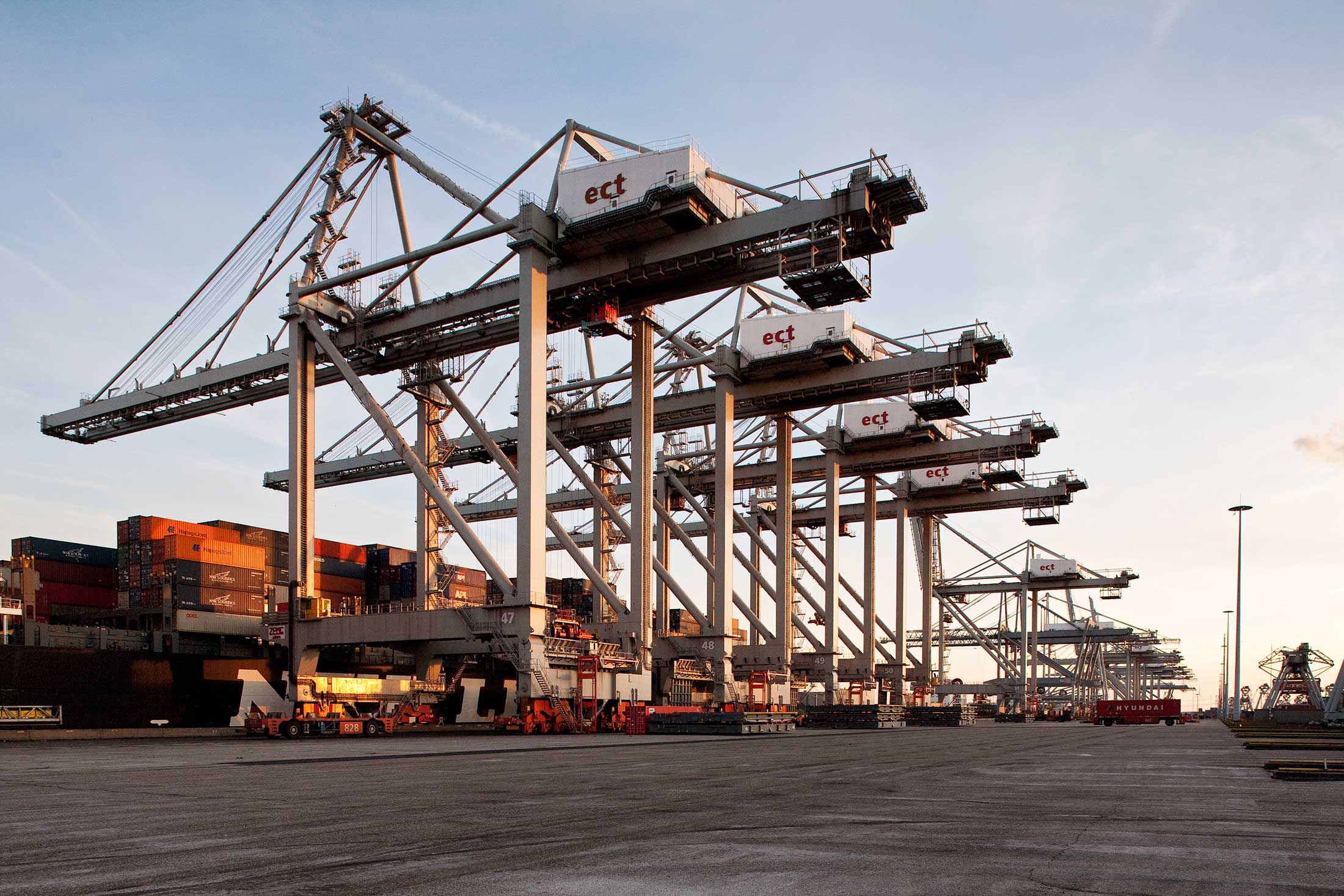 ECT container terminal - Fotografie Frank Hanswijk